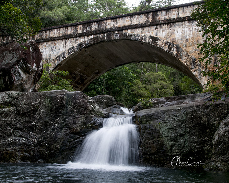 Mimi Courts Photography